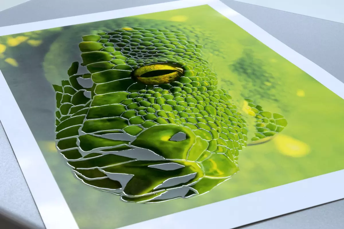 Varnish Printing| Professional Printing | Konica Minolta