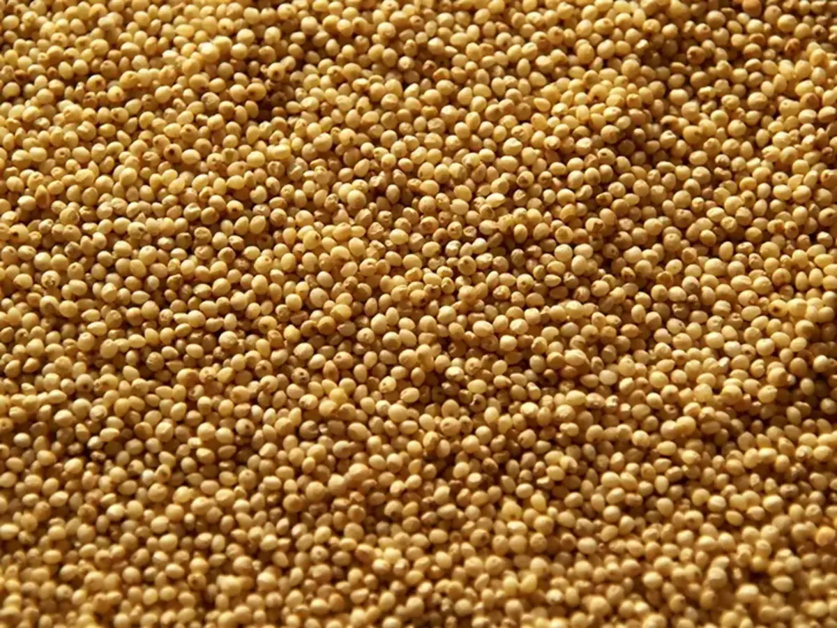 Colour measurement for Grains, Beans and Powders | KONICA MINOLTA