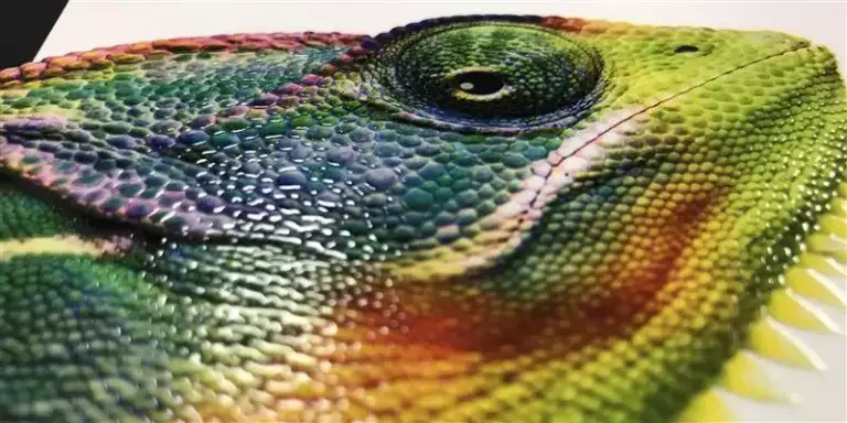 MGI Embellishment Revolution | KONICA MINOLTA