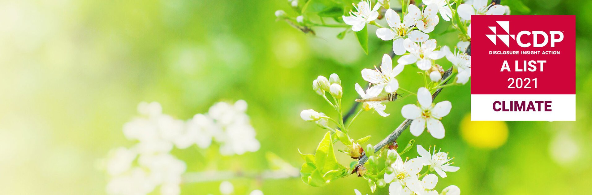 Konica Minolta given the highest evaluation by CDP and included on the ...