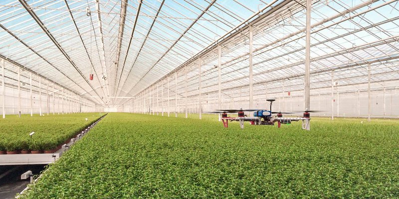 Agricoltura di precisione olandese con l'agricoltura digitale - KONICA ...